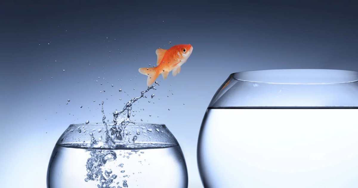 Overcoming the Dark Side of Entrepreneurship