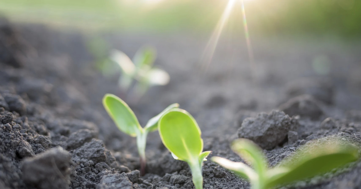 You Know You’re Ready to Grow When…